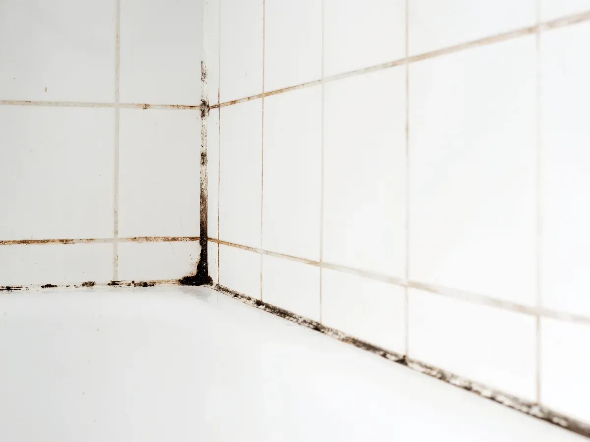 Tile Grout Mold Blocking Treatment Dubai | Professional Services